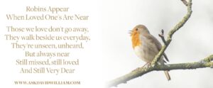 Robin Spiritual Meaning - David William Psychic Medium